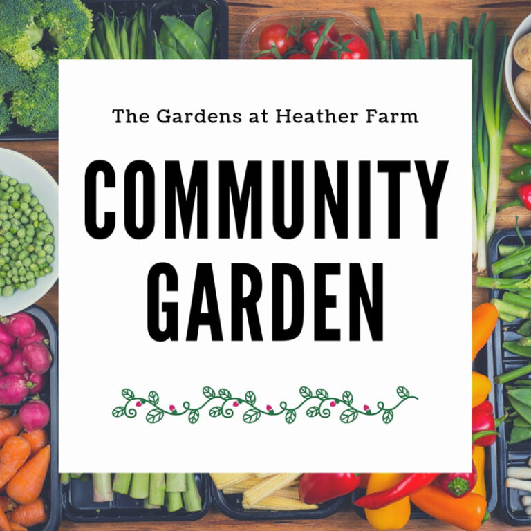 The Gardens at Heather Farm